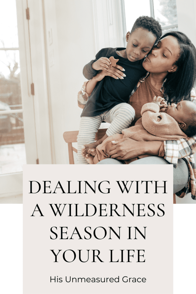 Dealing with a Wilderness Season in Your Life - His Unmeasured Grace